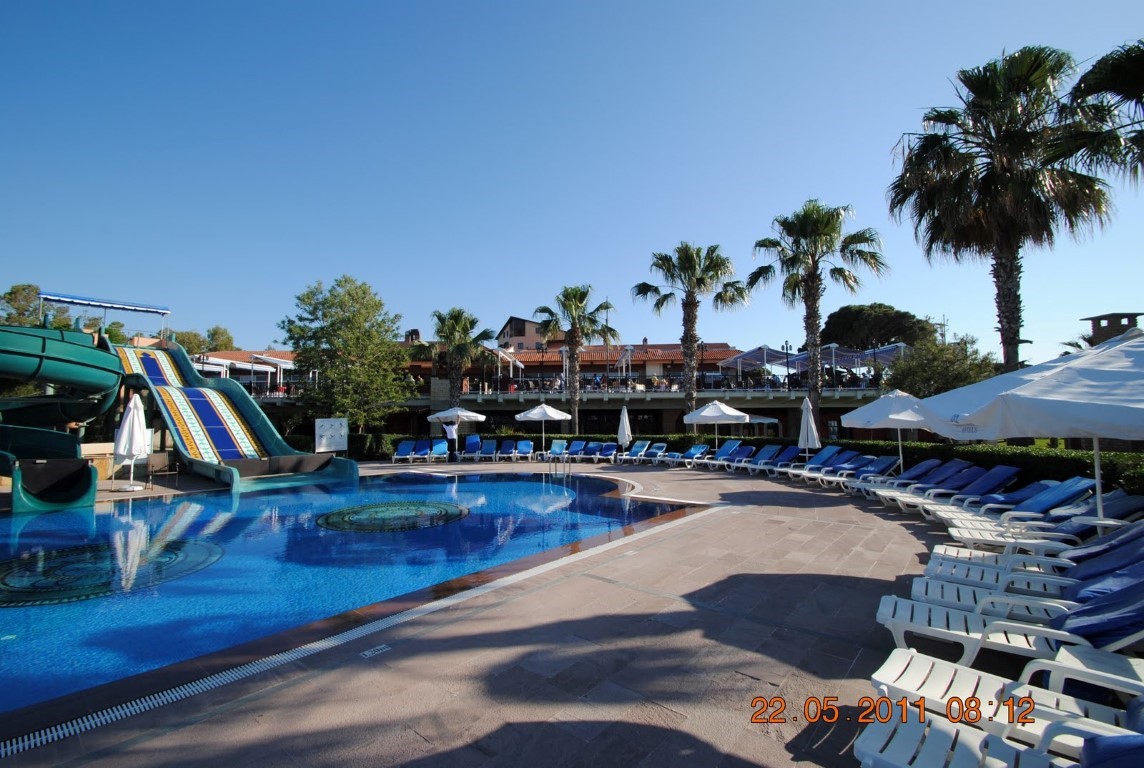 Imagine PAPILLON BELVIL BELEK