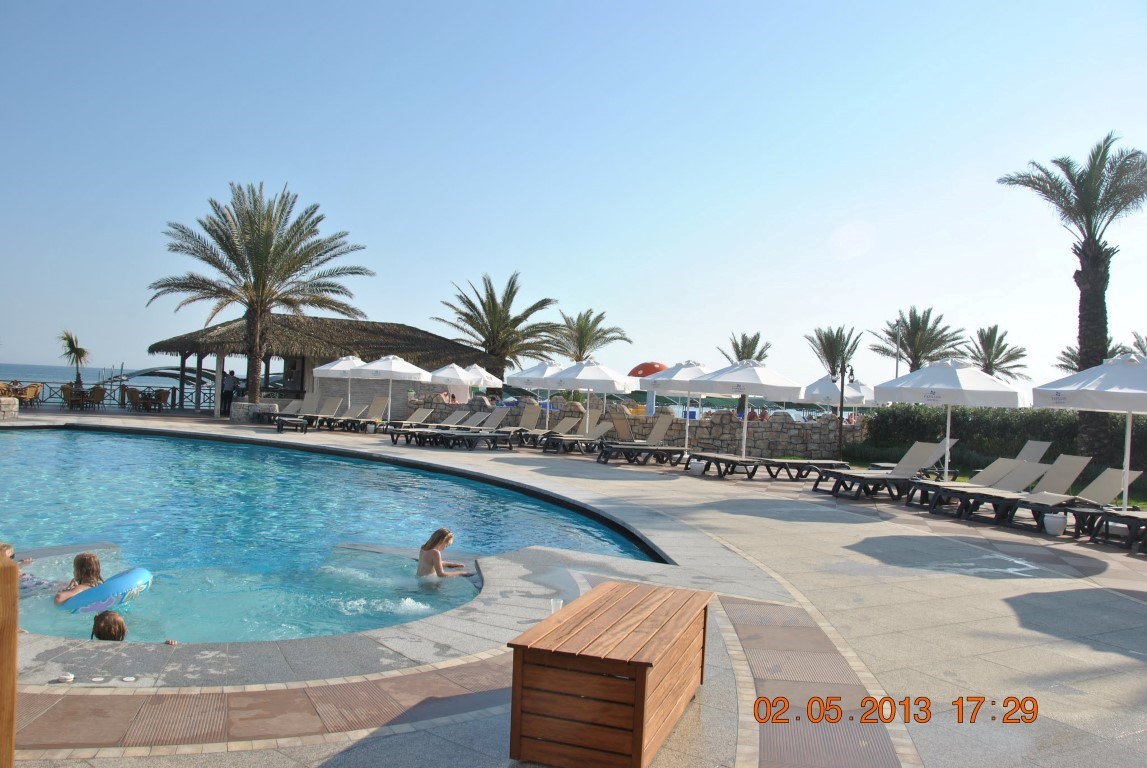 Imagine PAPILLON BELVIL BELEK
