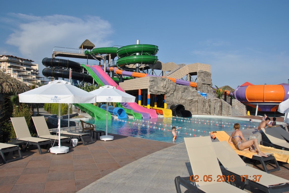Imagine PAPILLON BELVIL BELEK