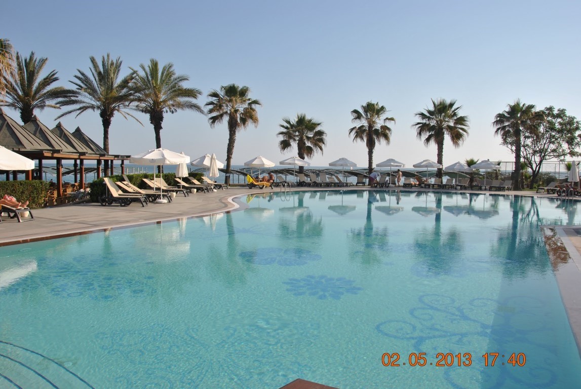 Imagine PAPILLON BELVIL BELEK