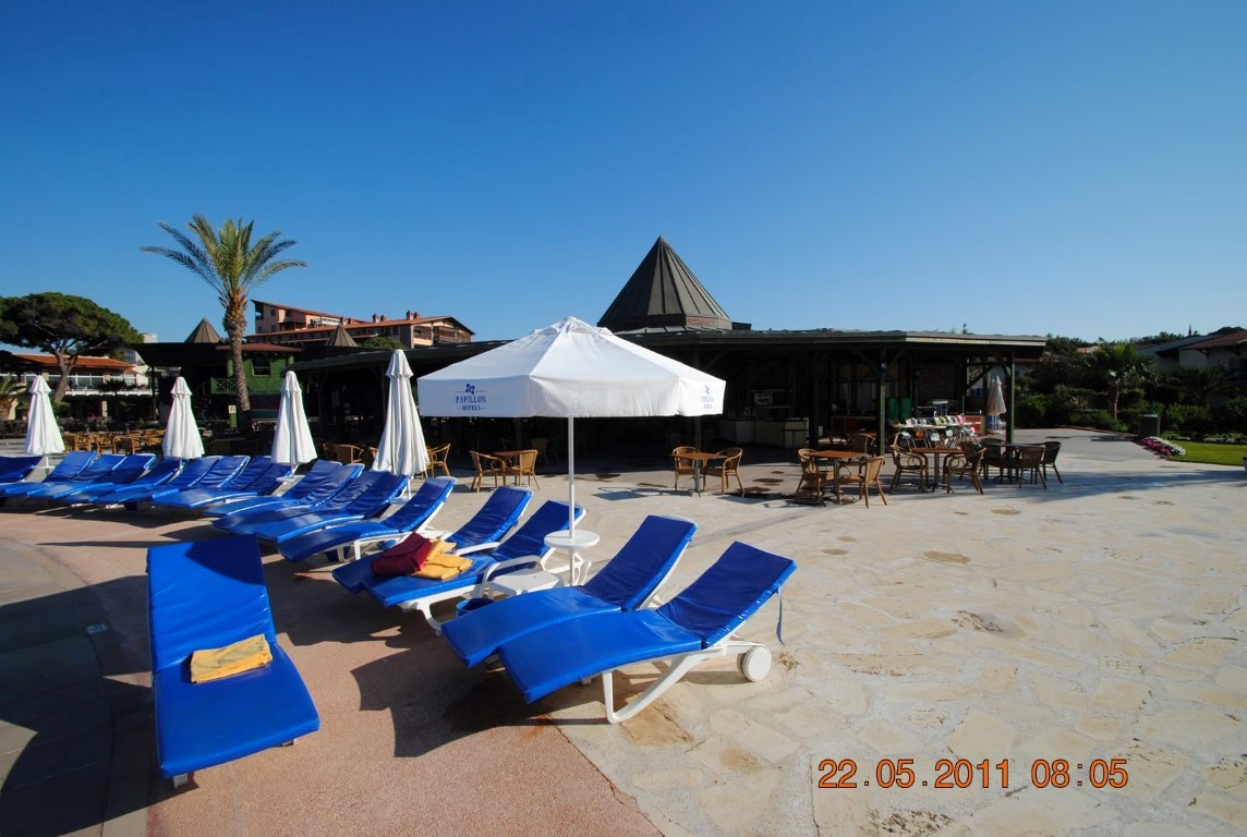 Imagine PAPILLON BELVIL BELEK